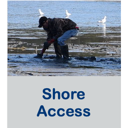 ShoreAccess_Button-noText – Gouldsboro Shore
